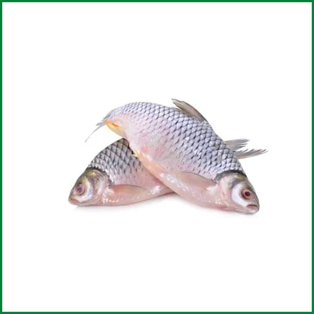 Koral Fish (Medium) - কোরাল মাছ - O'Natural//Kg - O'Natural